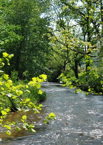 Franklin Press: “A healthy stream is a functioning stream”