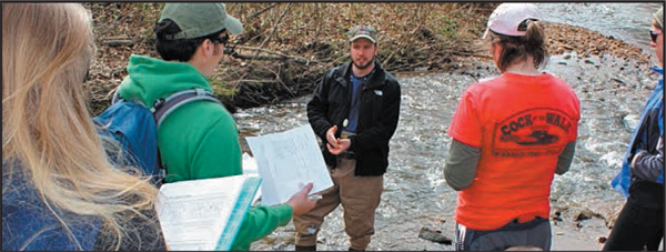 Franklin Press: 'Visual Assessment Protocol defined' - Mainspring ...