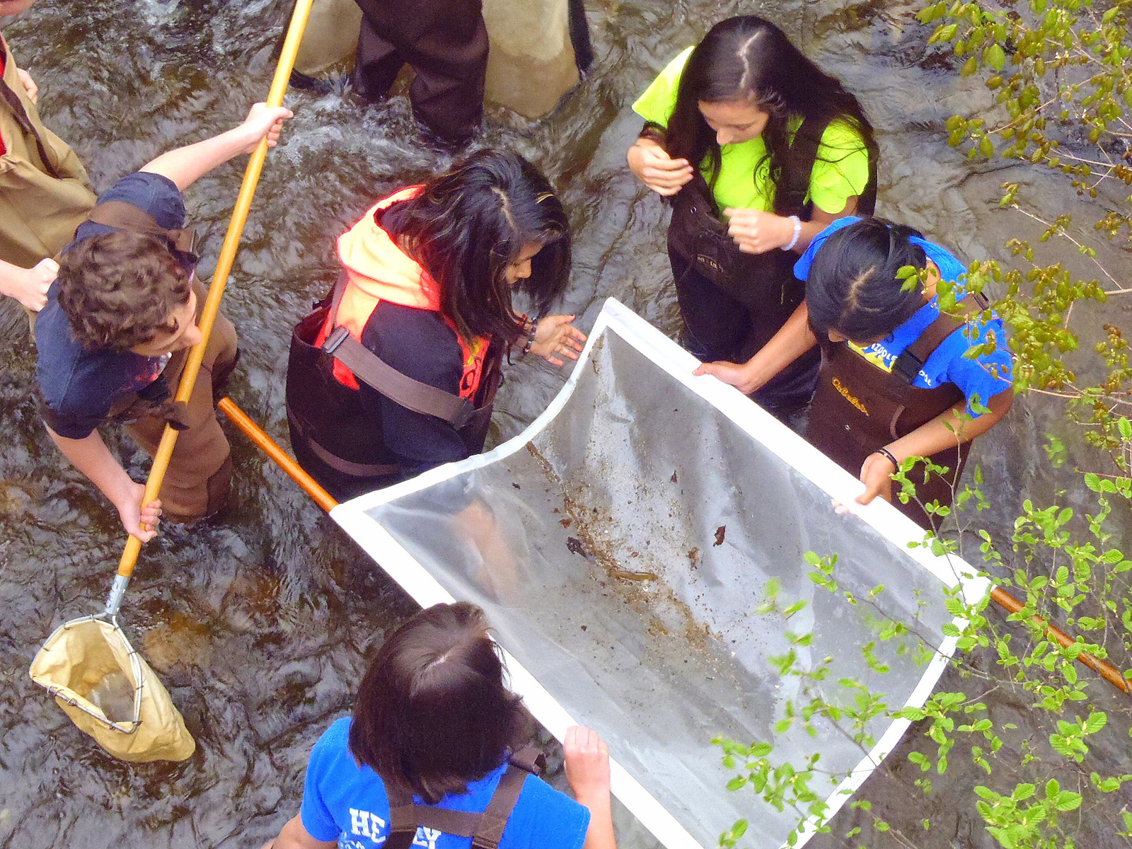 Youth Environmental Education ~ Mainspring Conservation Trust