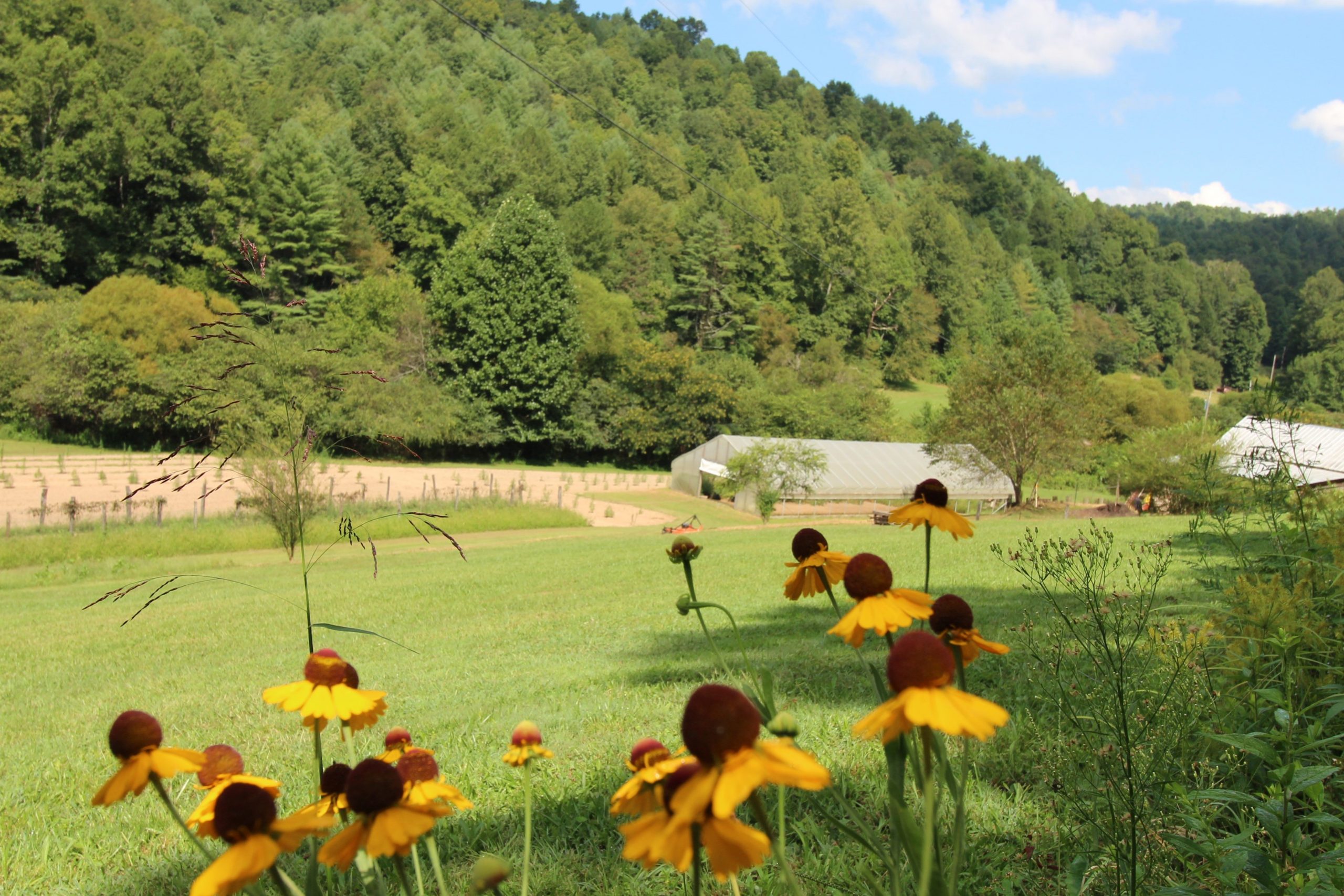 Long Farm ~ Mainspring Conservation Trust