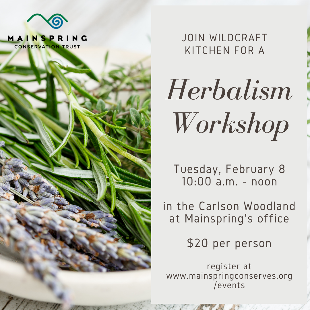 Index of /wp-content/uploads/2022/02