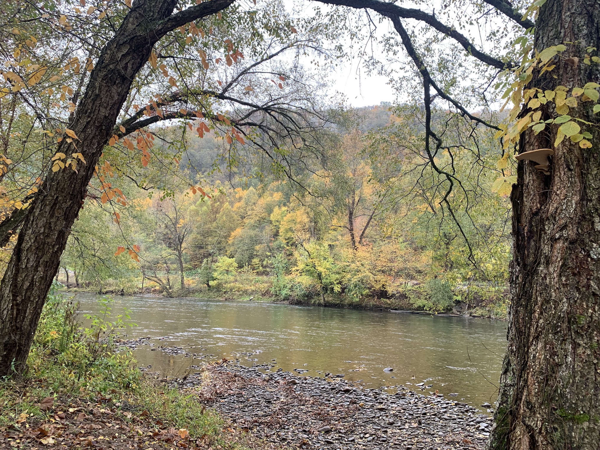 Family Hopes to Conserve Their Popular Swain County Farm